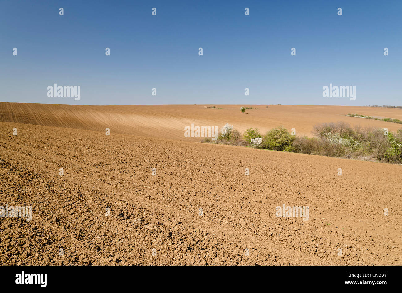 Field soil tracks hi-res stock photography and images - Alamy