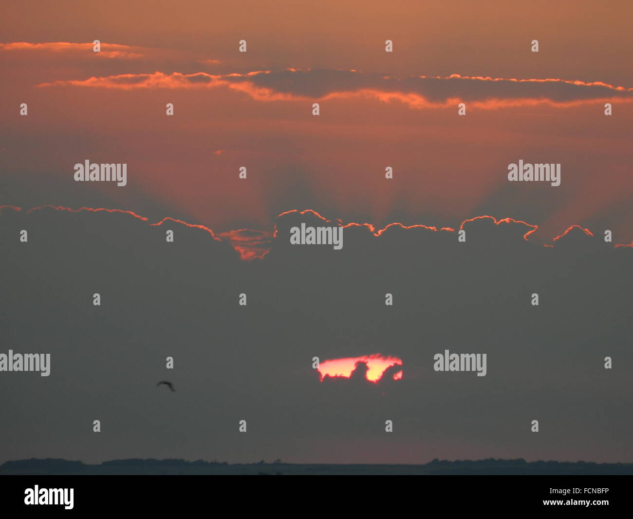 sunset over brighton Stock Photo - Alamy