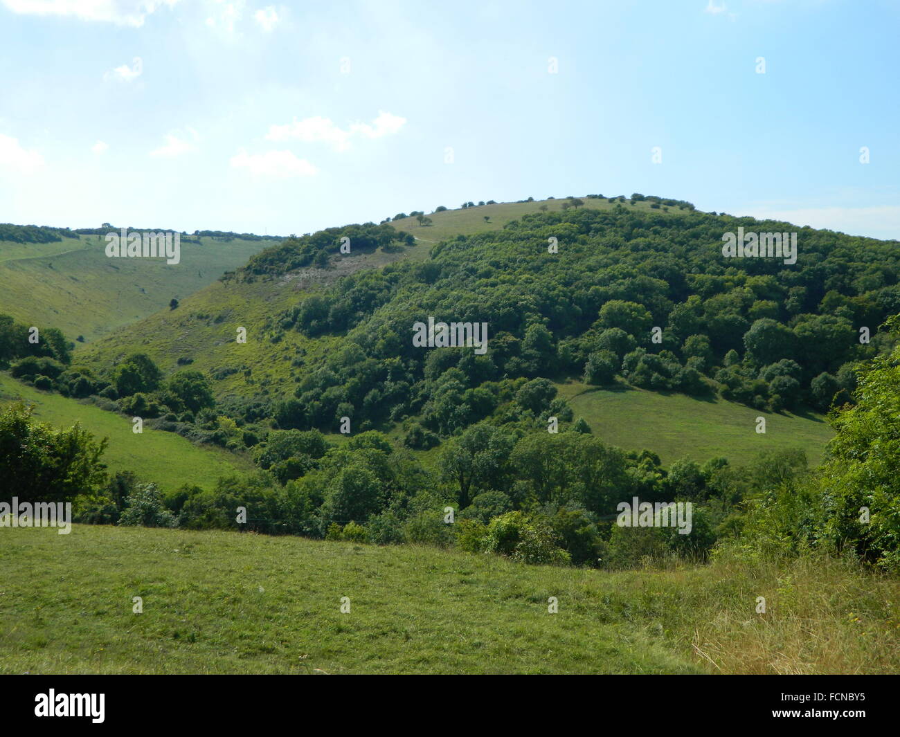 summers walk in brighton Stock Photo - Alamy