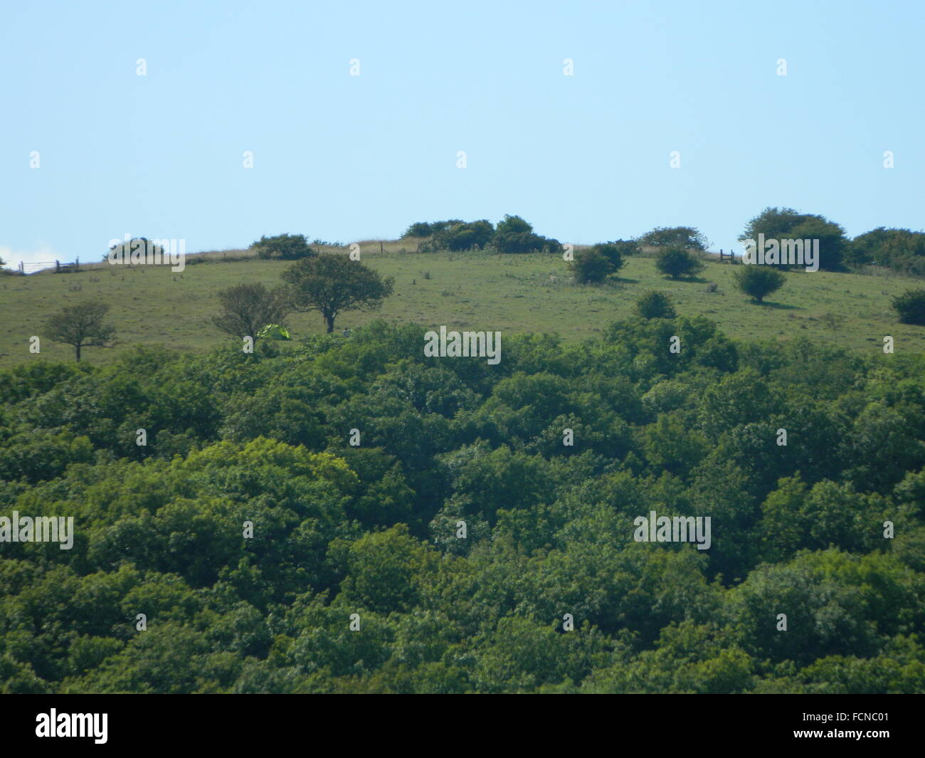 summers walk in brighton Stock Photo - Alamy
