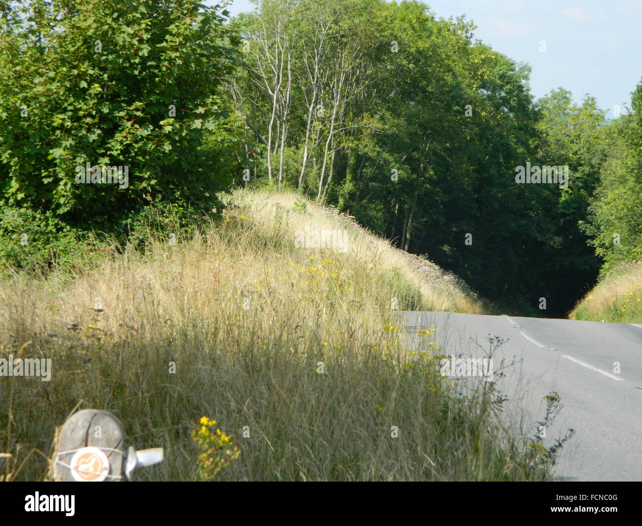 summers walk in brighton Stock Photo - Alamy