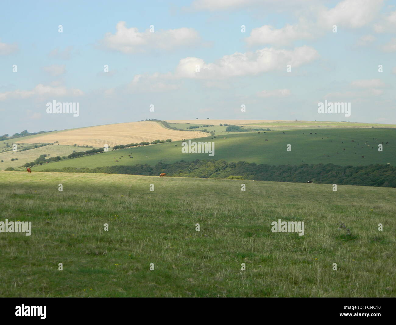 summers walk in brighton Stock Photo - Alamy
