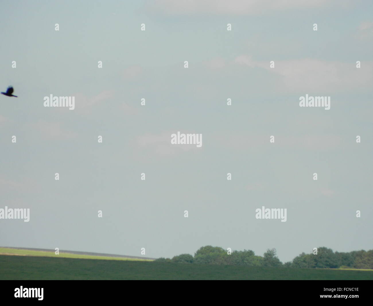 summers walk in brighton Stock Photo - Alamy