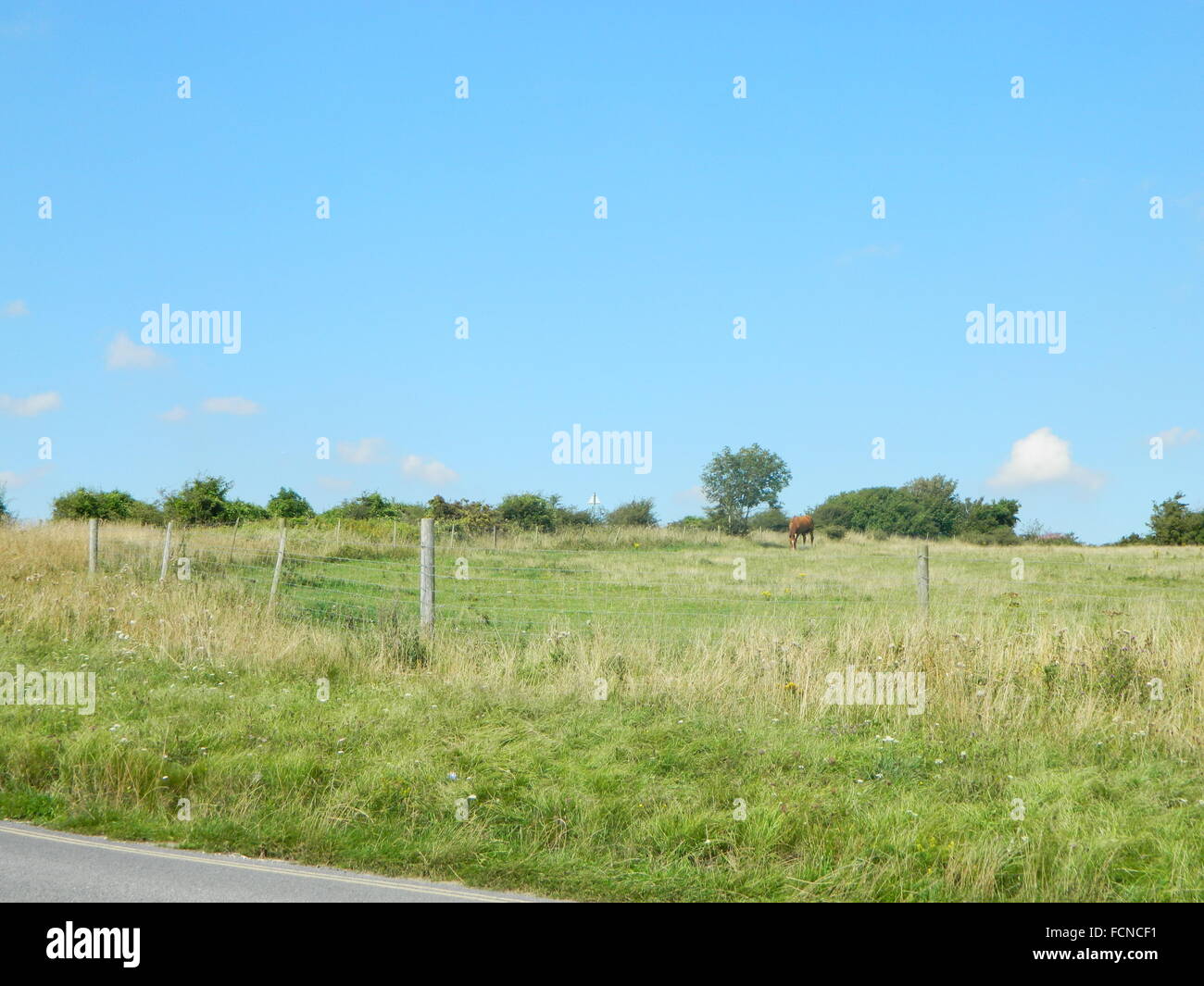 summers walk in brighton Stock Photo - Alamy