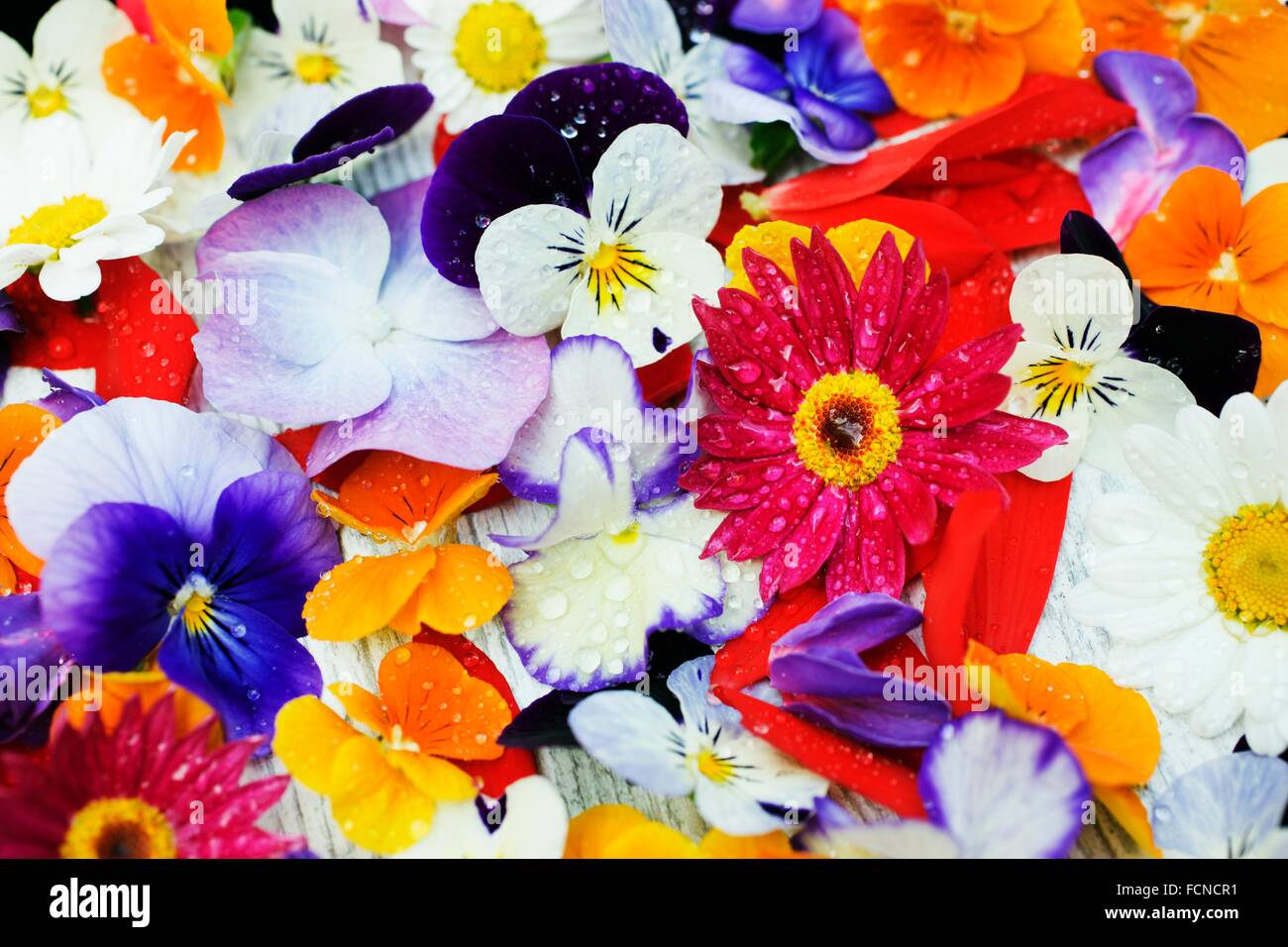Detached flower hi-res stock photography and images - Alamy