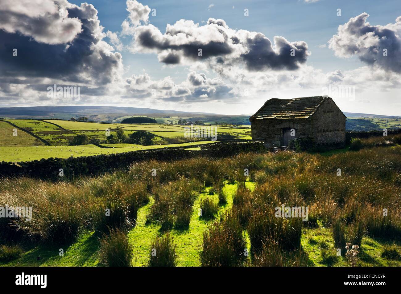 Field barn hi-res stock photography and images - Alamy