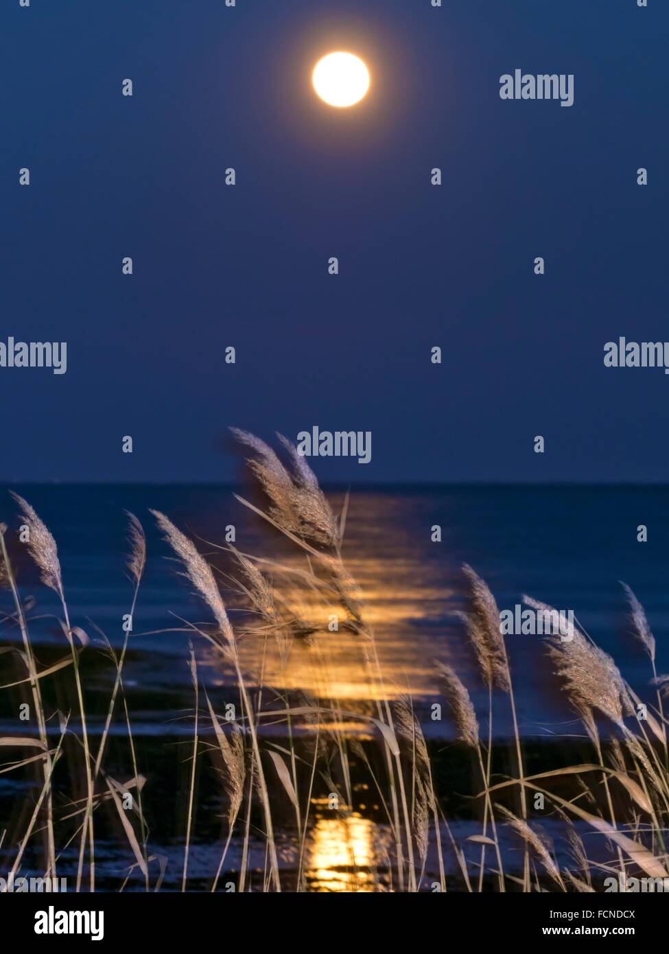 Delta Moon High Resolution Stock Photography and Images - Alamy