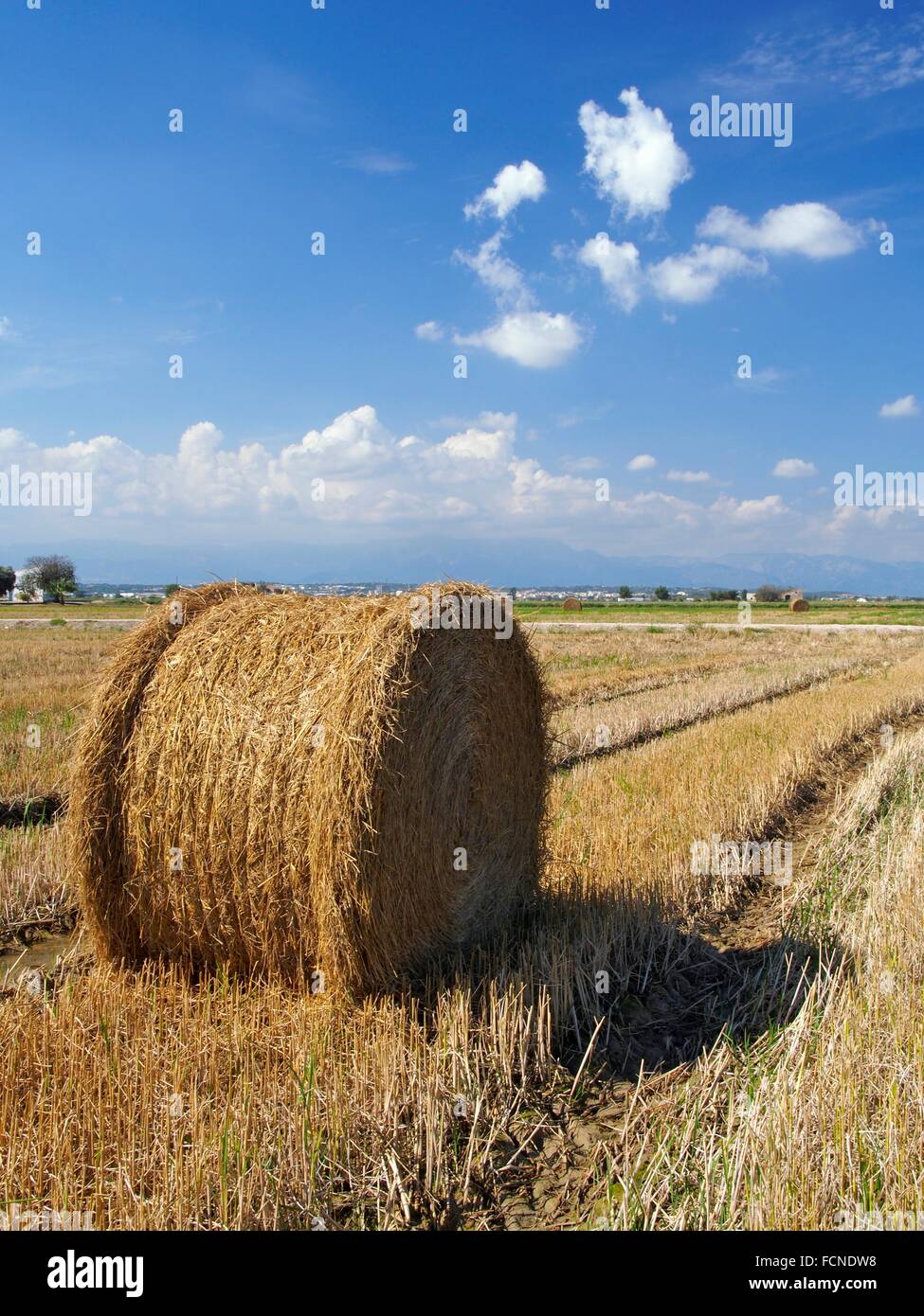 Rice bale hi-res stock photography and images - Alamy