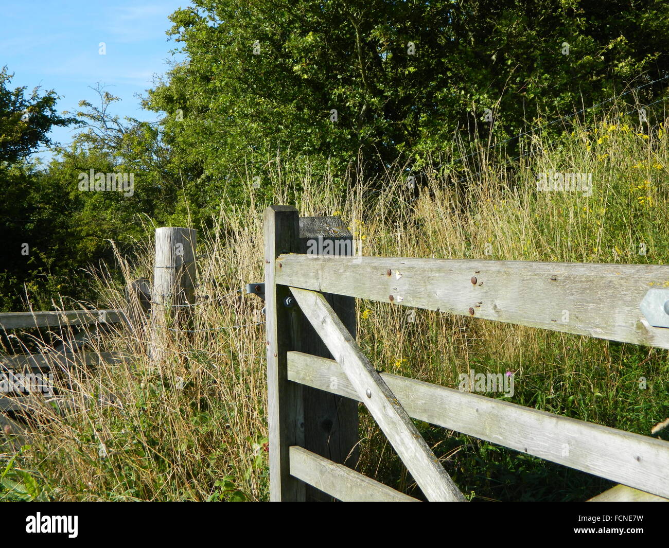 summers walk in brighton Stock Photo - Alamy