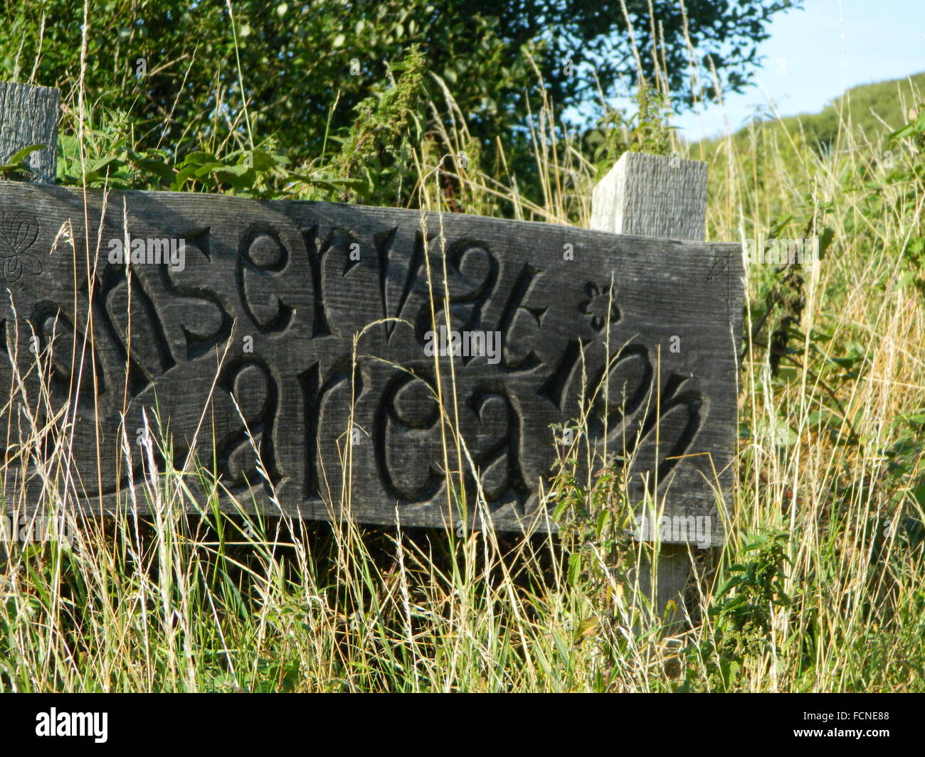 summers walk in brighton Stock Photo - Alamy