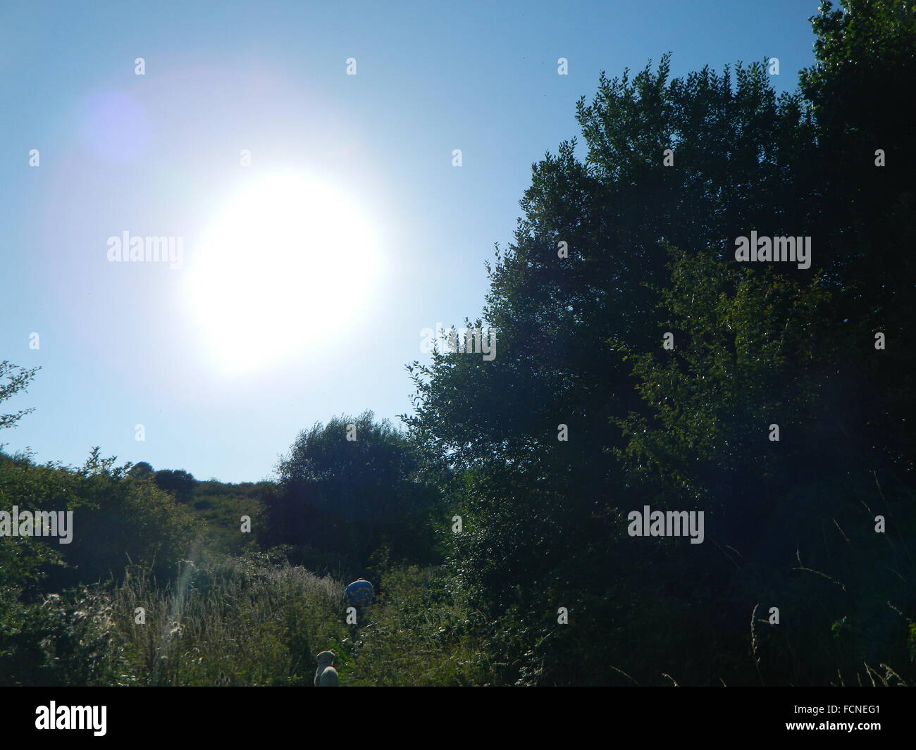 summers walk in brighton Stock Photo - Alamy