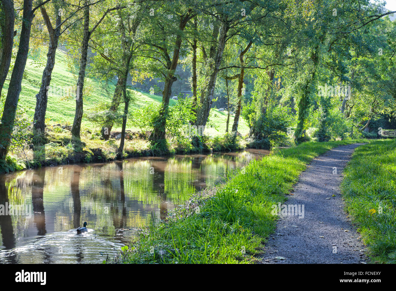 waterfront gravel footpath in woodland park by a canal with sunlight ...