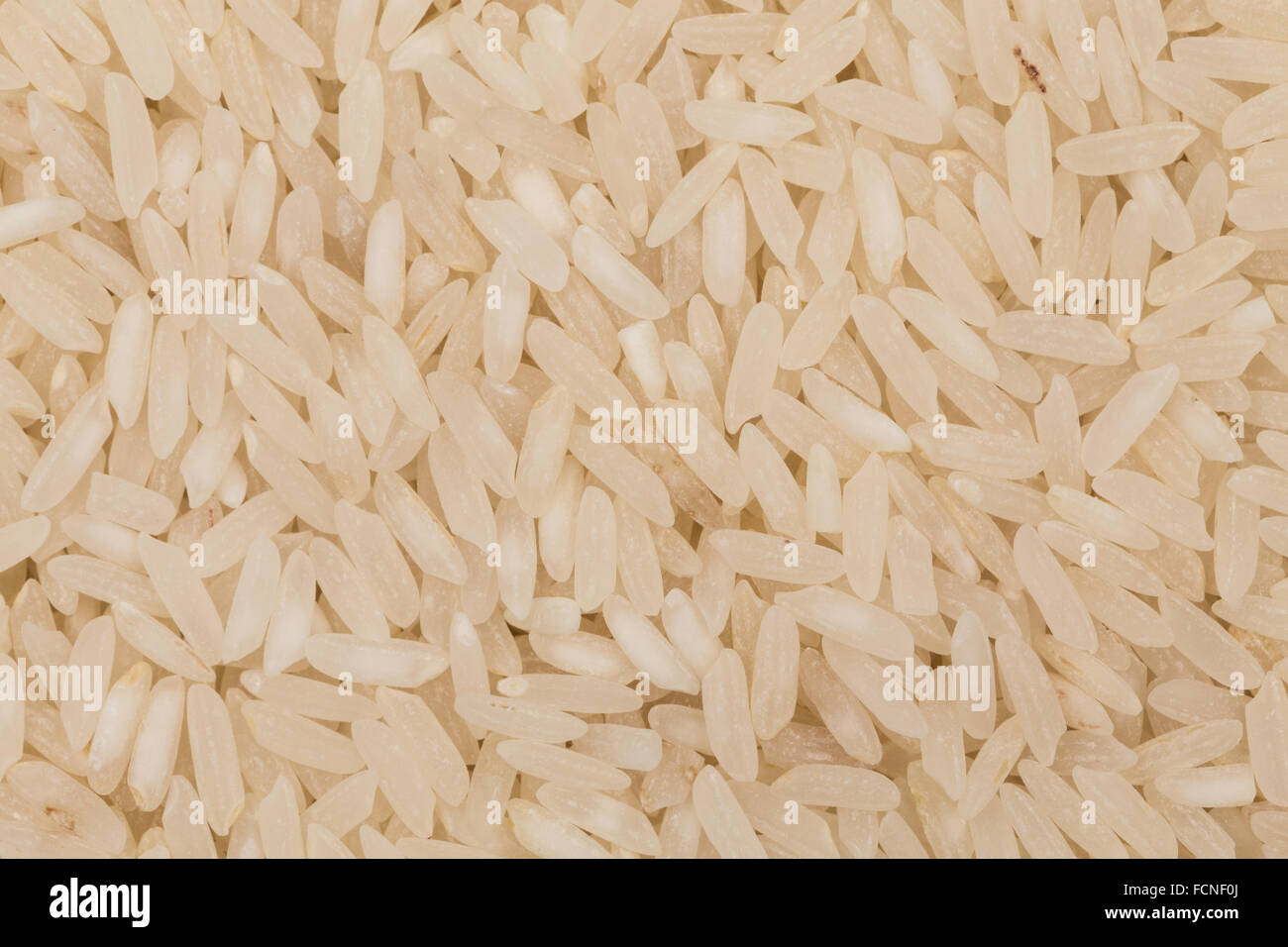 Oblong white dish hi-res stock photography and images - Alamy