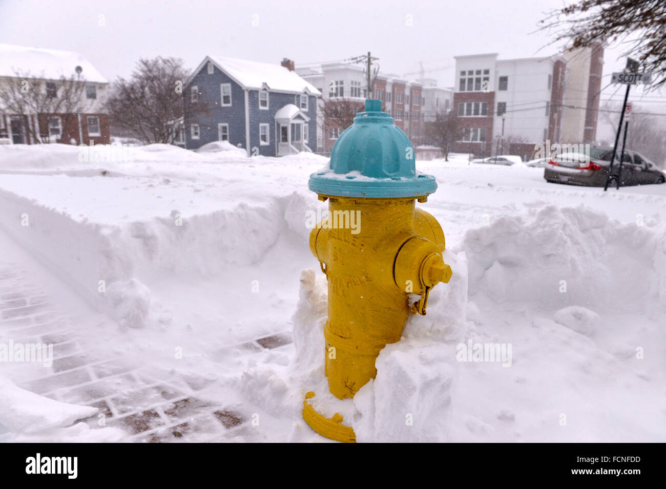 Washington, DC, USA. 23rd Jan, 2016. A firplug is seen in snow in ...