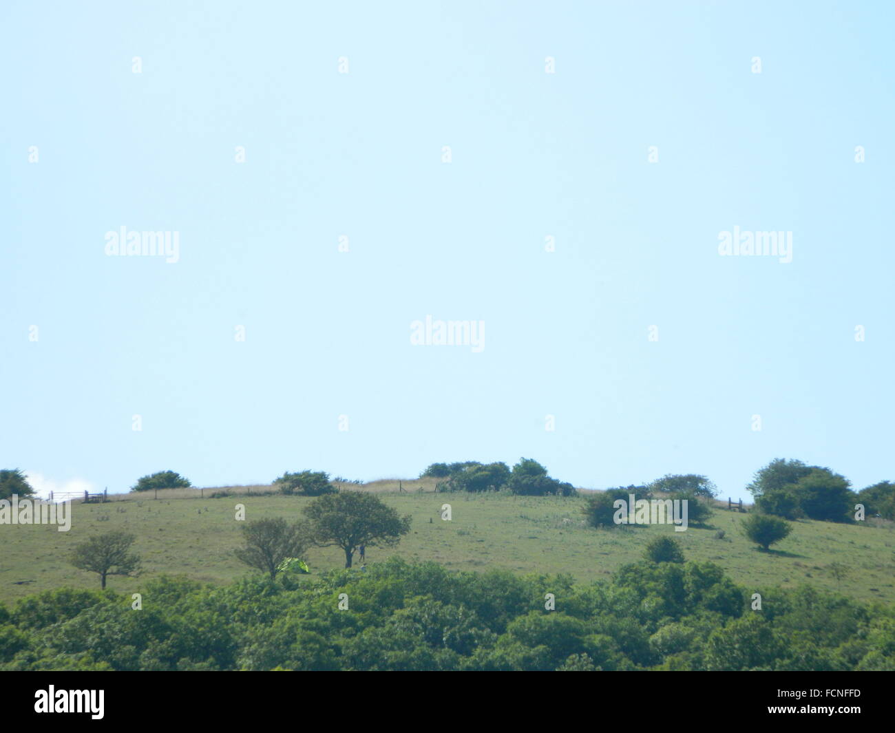 bright sunny summers day Stock Photo - Alamy