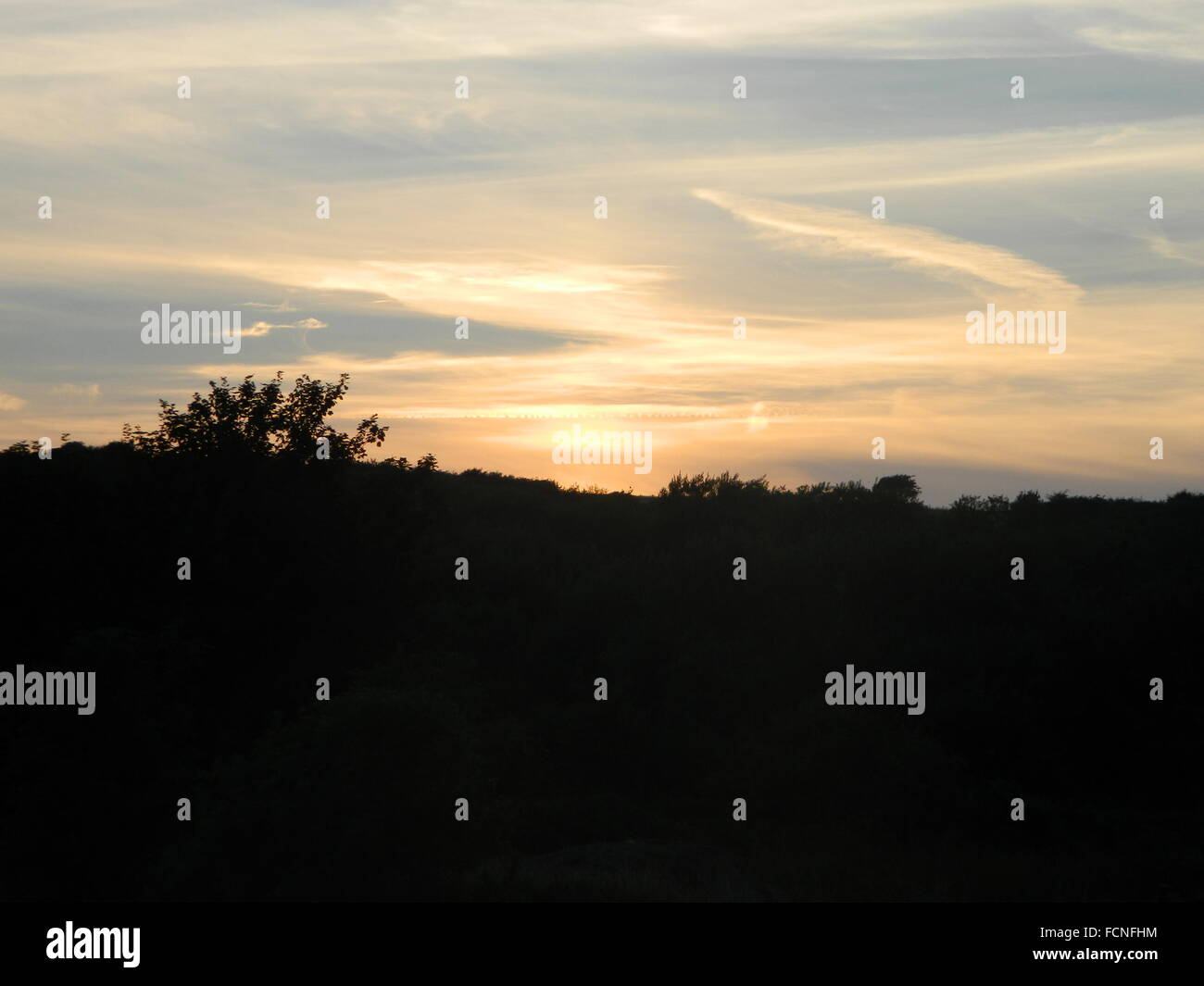 sunset in water Stock Photo - Alamy