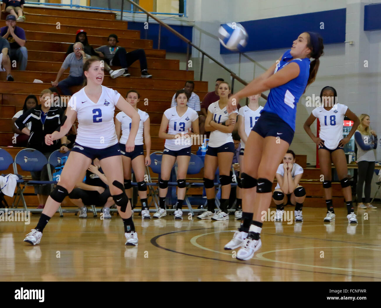 New Orleans Louisiana, USA. 7th Oct, 2014. UNO Celeste Ramirez (8 ...