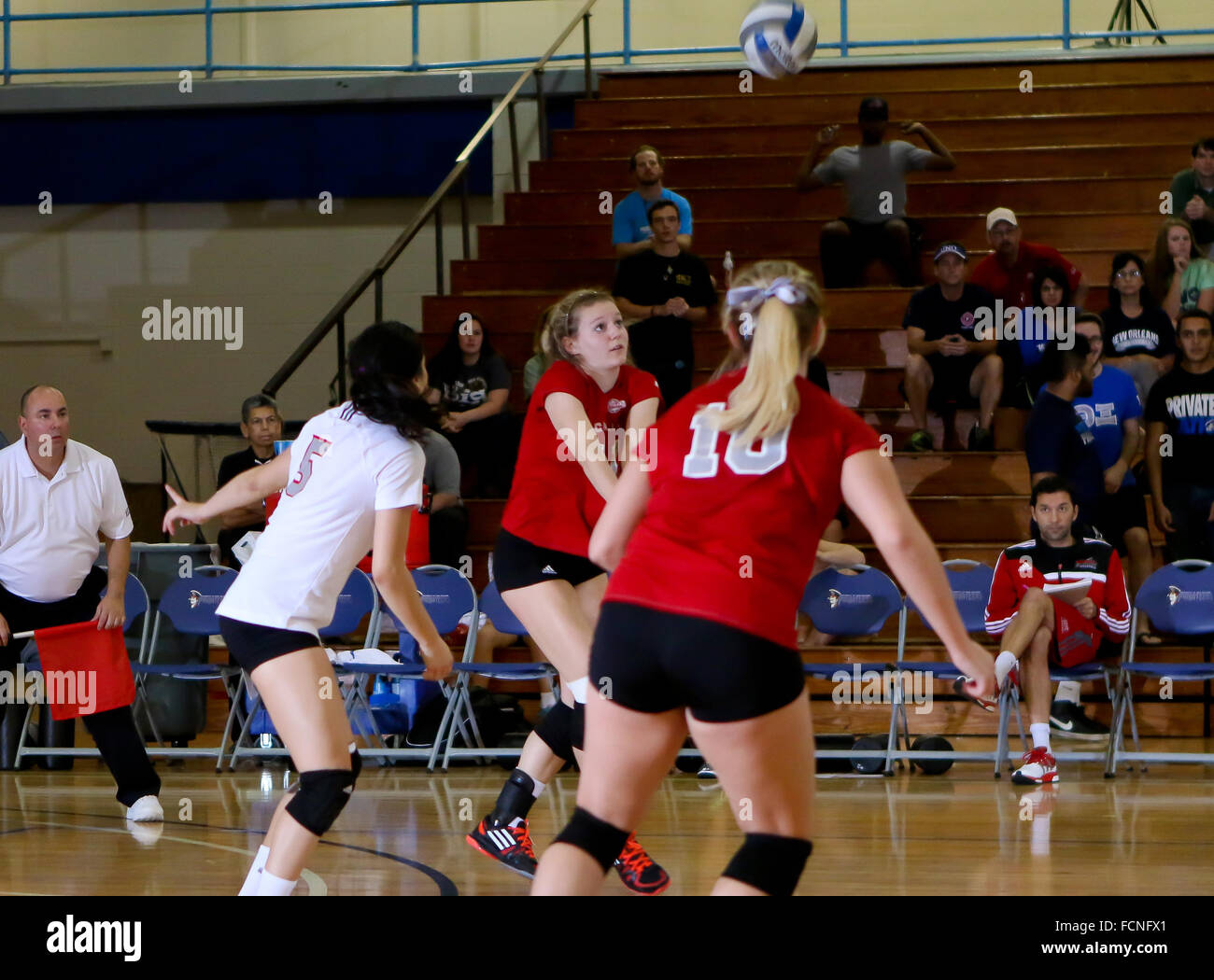 New Orleans Louisiana, USA. 7th Oct, 2014. Nicholls Stephanie Tobison ...