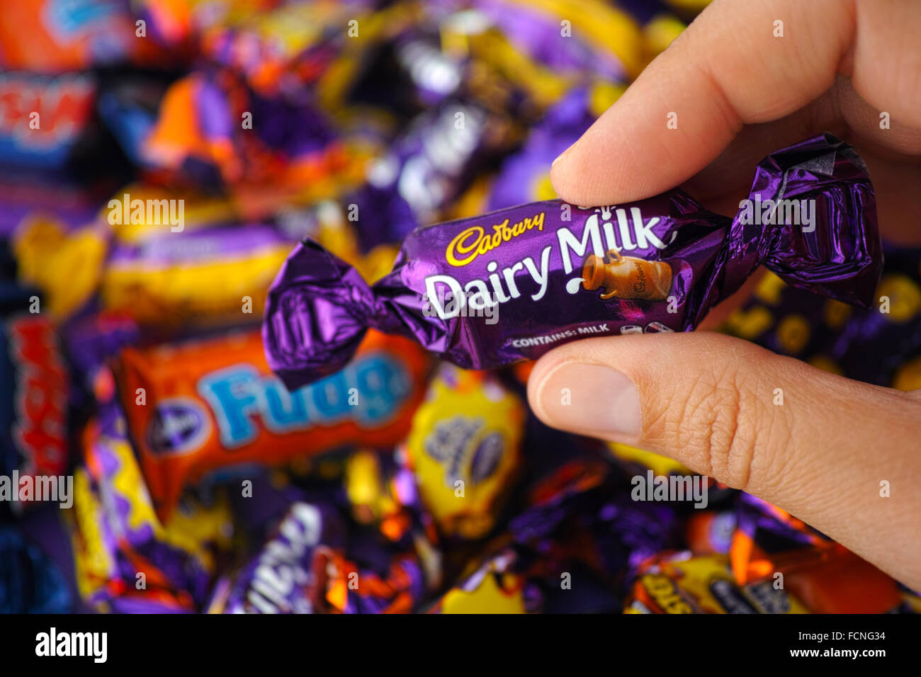 Paphos, Cyprus - November 27, 2015 Cadbury Dairy Milk candy in womans ...