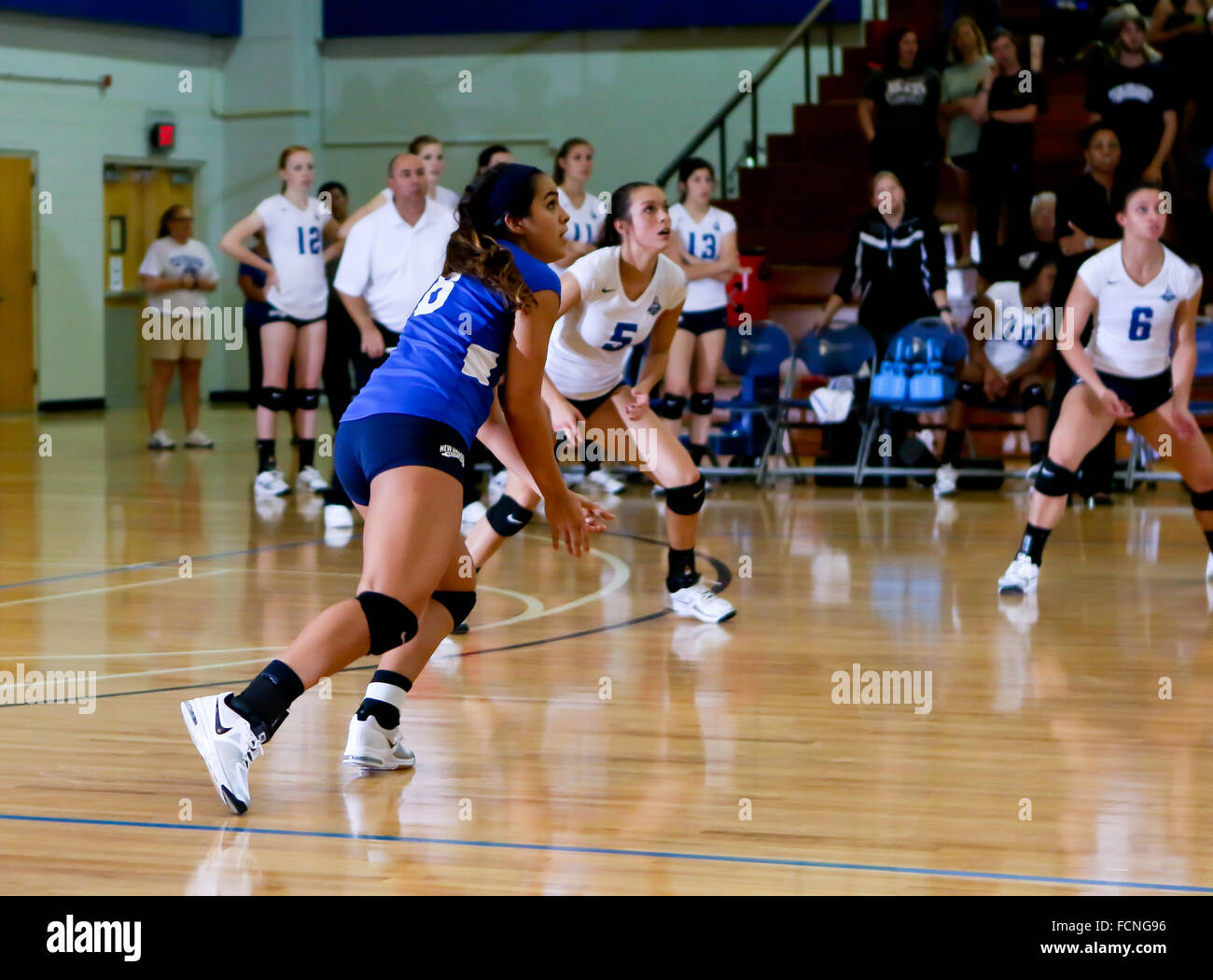 October 7, 2014: UNO Celeste Ramirez (8) sets up in playduring the ...