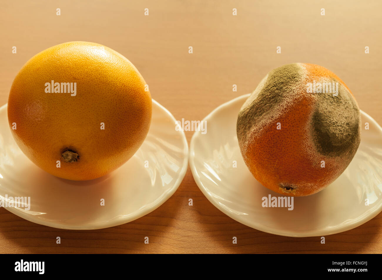 Ripe and moldy grapefriut on plate at wooden table. Difference between ...