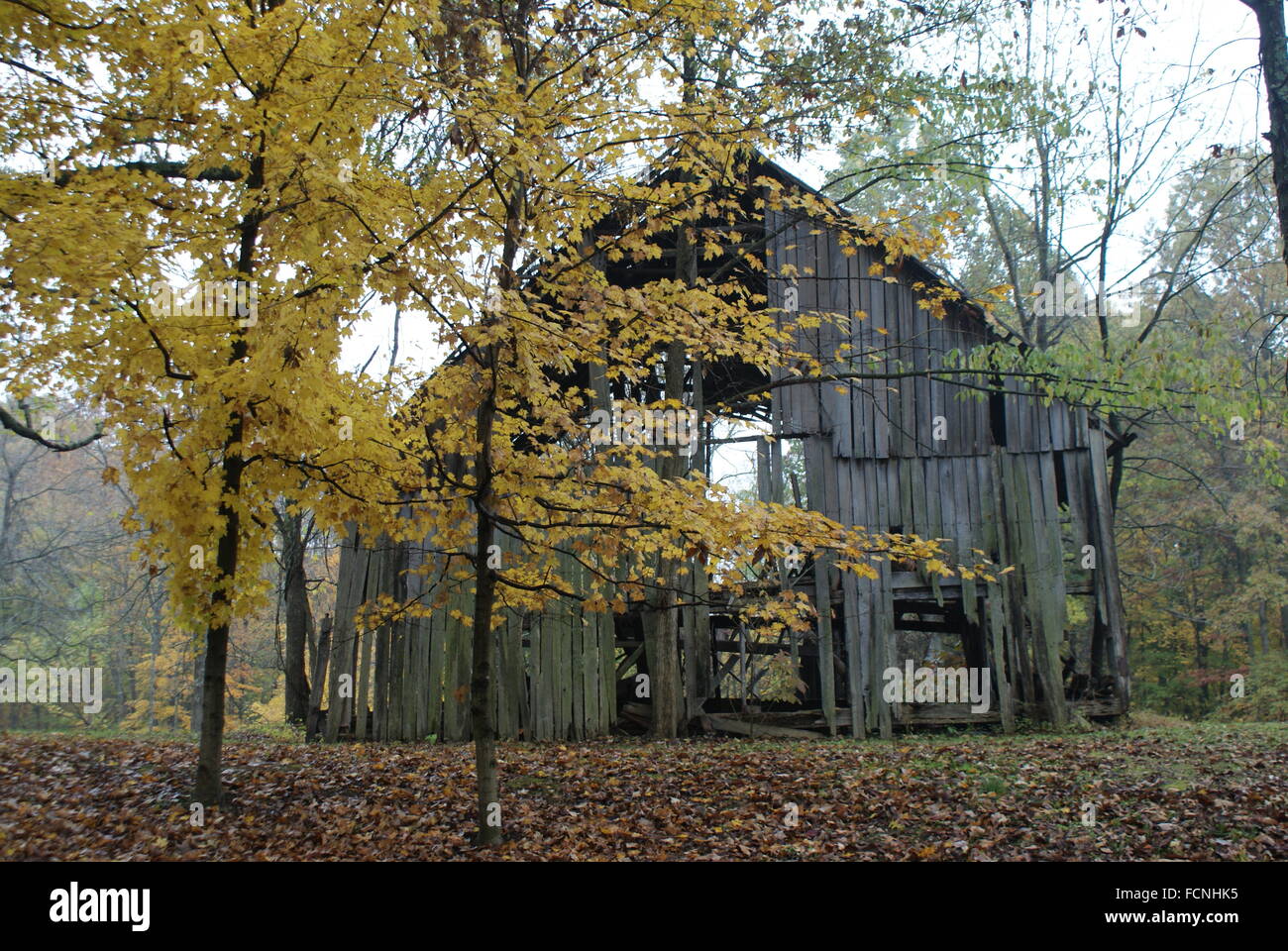 An old falling down barn in the fall Stock Photo - Alamy