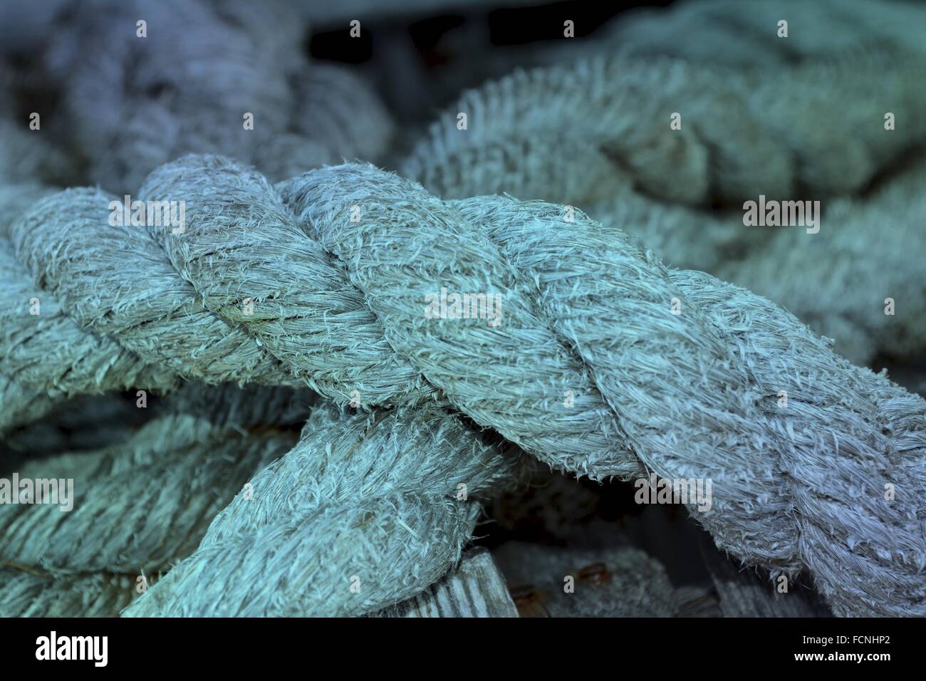 Lobster trap under water hi-res stock photography and images - Alamy