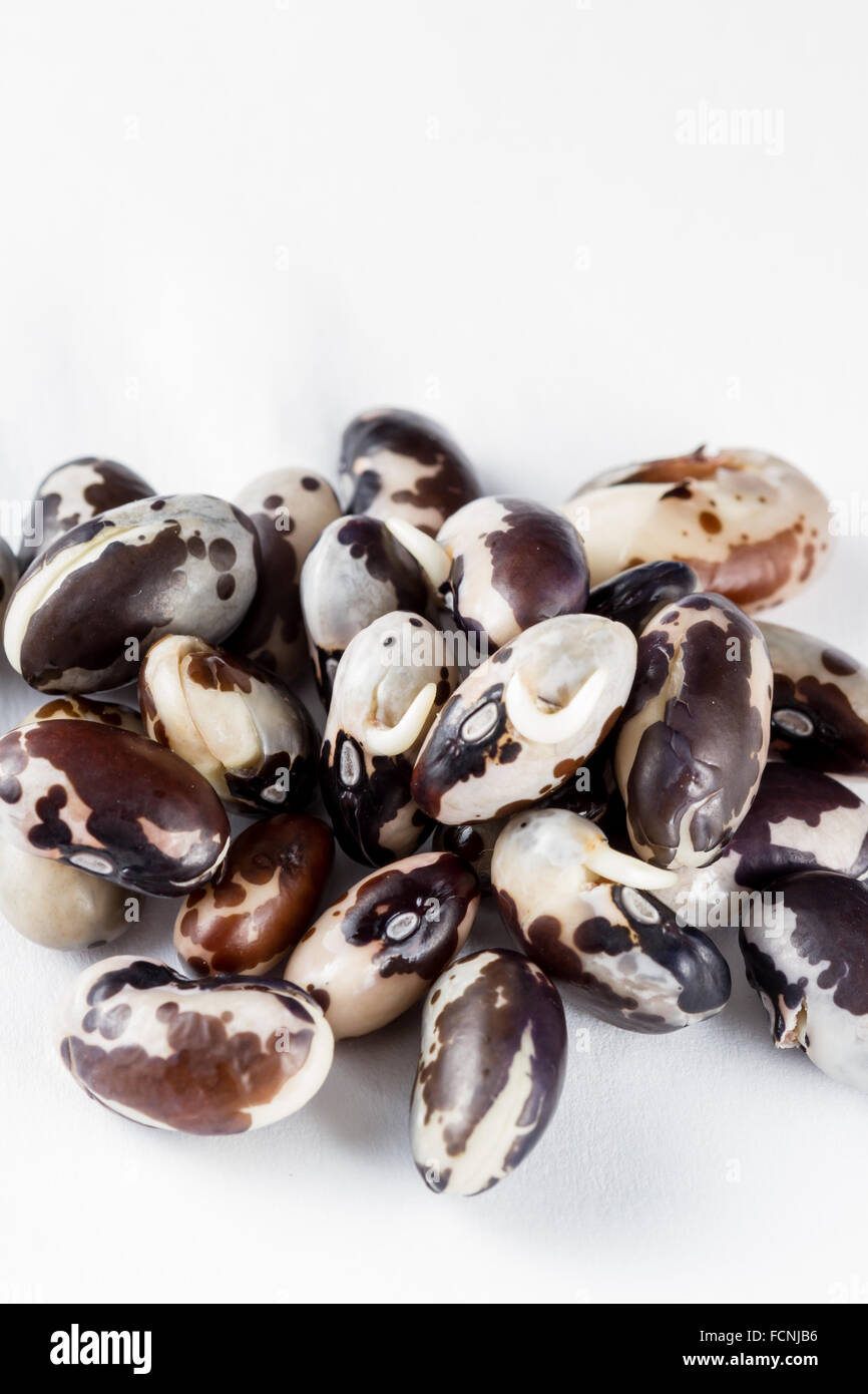 Orca beans growing hi-res stock photography and images - Alamy