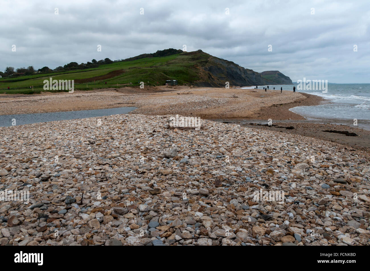 Charmouth beach on Britain's Jurassic coast. Shingle in foreground, sea ...