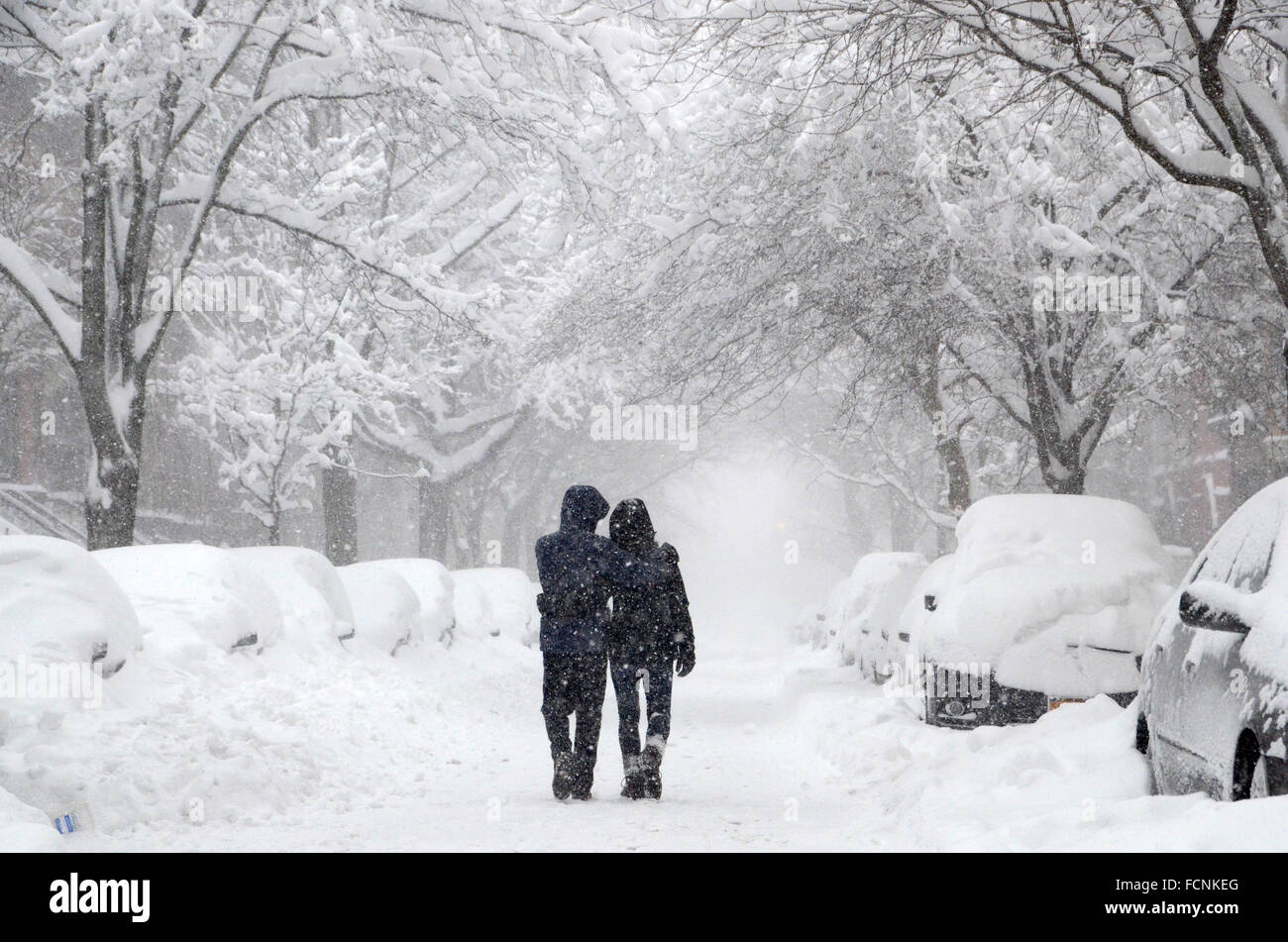 New York, USA. 23rd Jan, 2016. jonas snow storm new york brooklyn 2016 ...