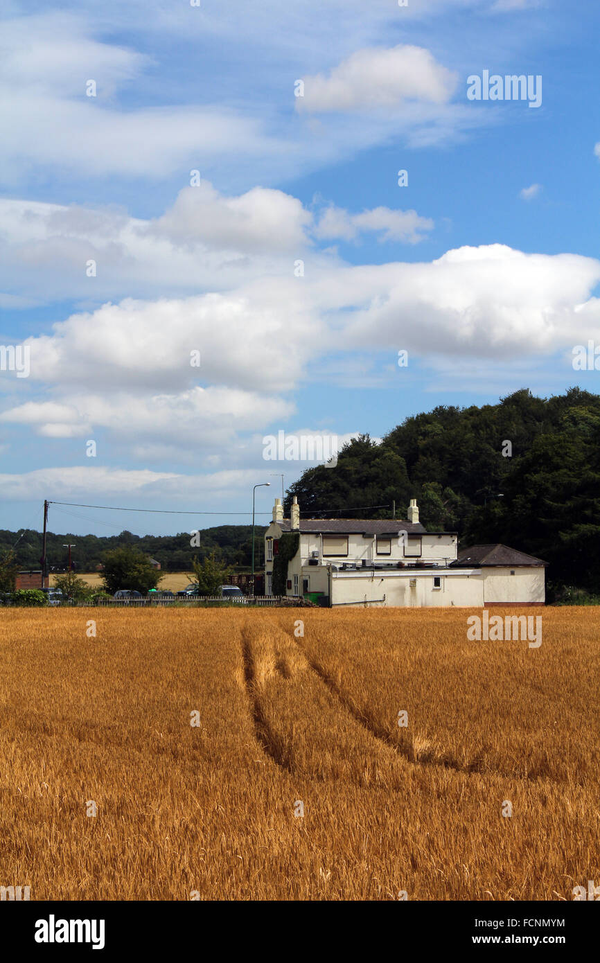 Rear view of The Rose Tree public house, Shincliffe, Durham, England ...