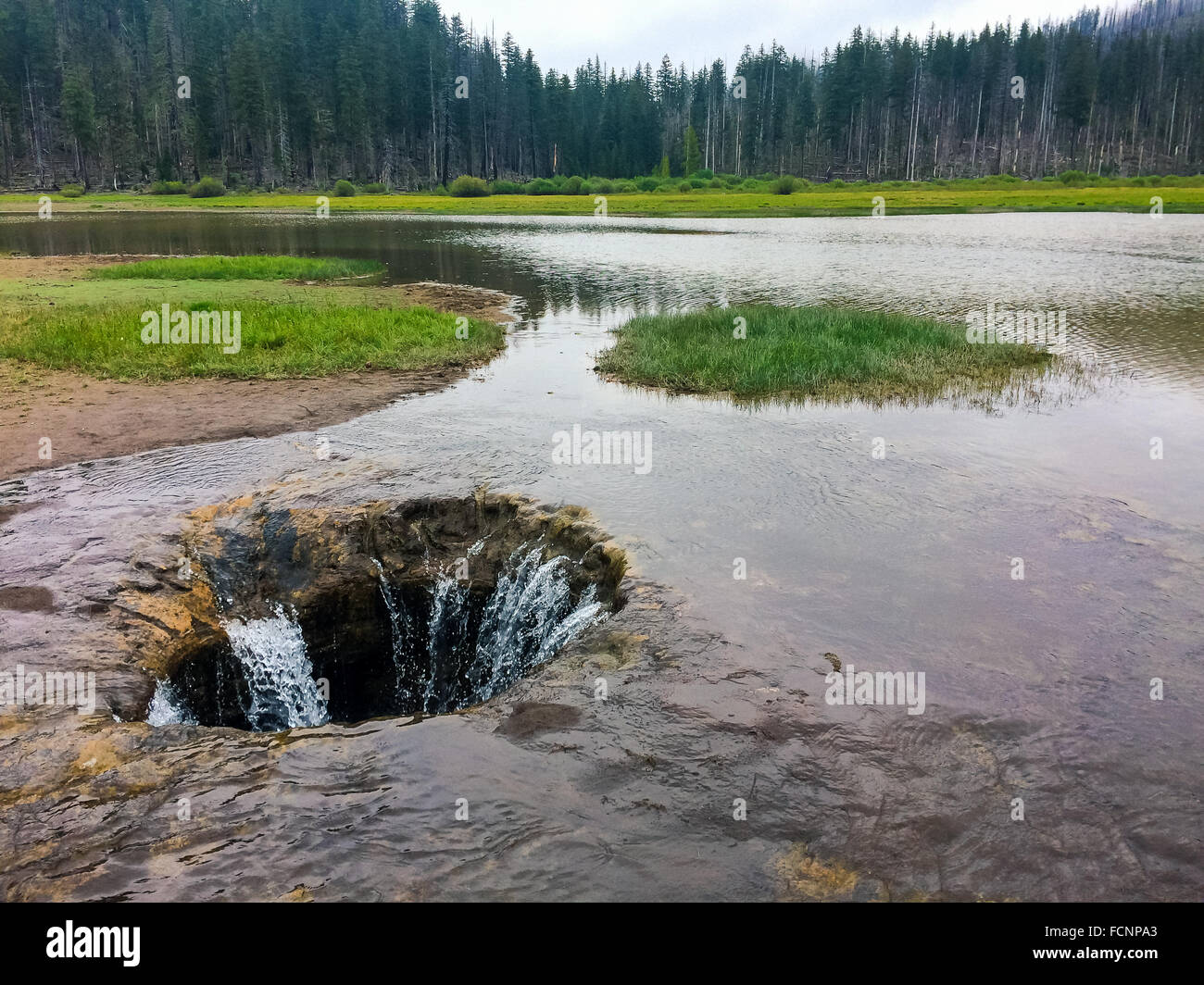 Central drain hi-res stock photography and images - Alamy