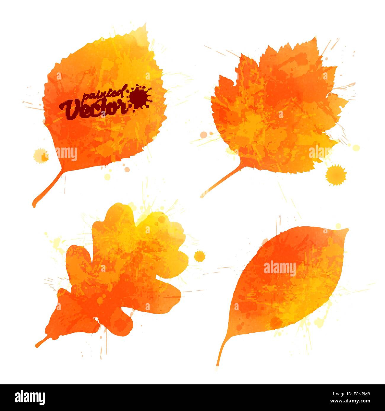 Orange watercolor leaves vector set Stock Vector Image & Art - Alamy