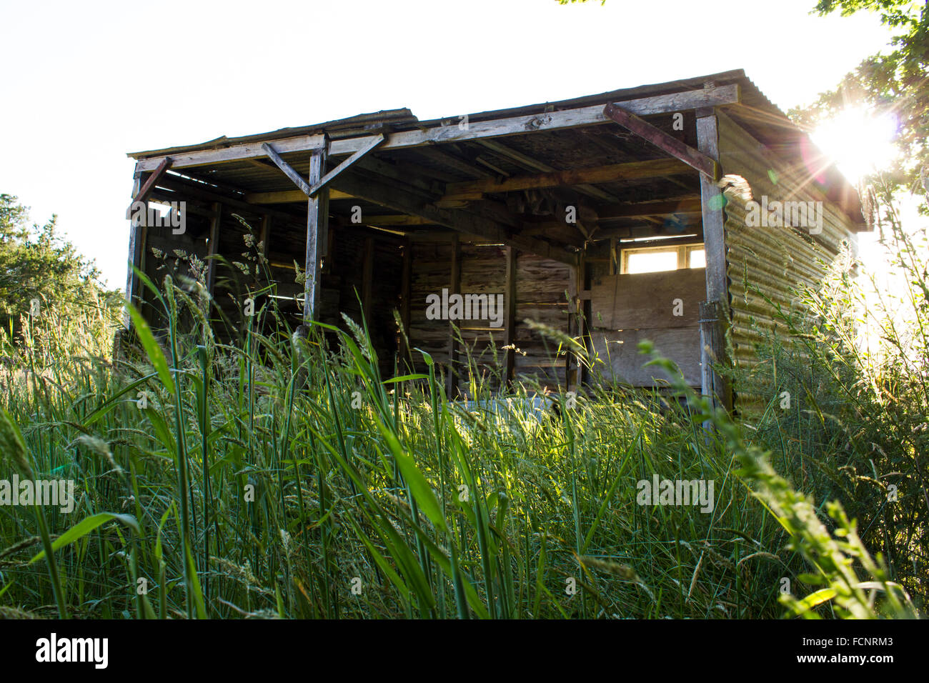 Abandoned shack hi-res stock photography and images - Alamy