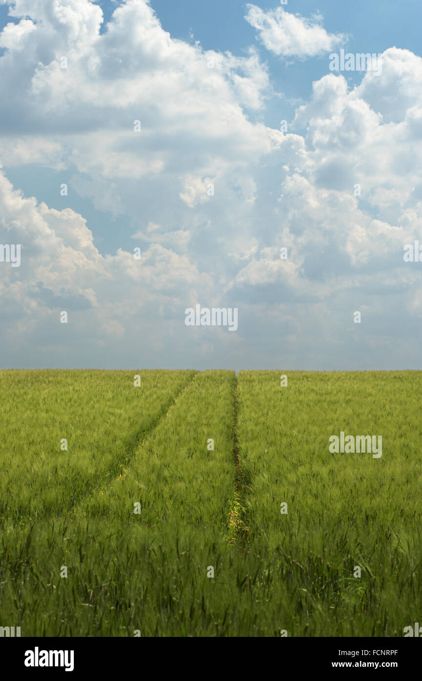 Peaceful scenery hi-res stock photography and images - Alamy