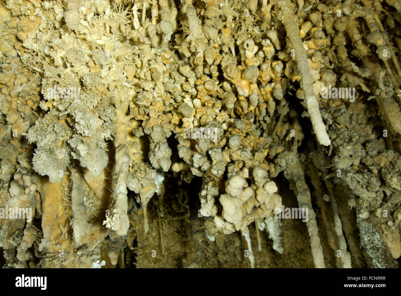 stalactites of Karst landform Stock Photo - Alamy