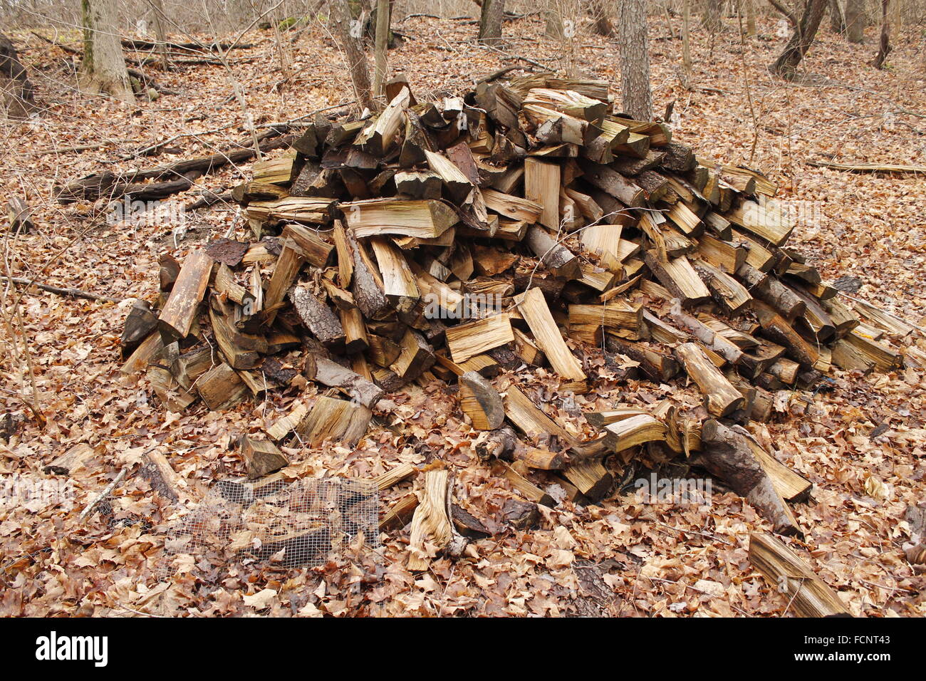 a pile of maple firewood Stock Photo - Alamy