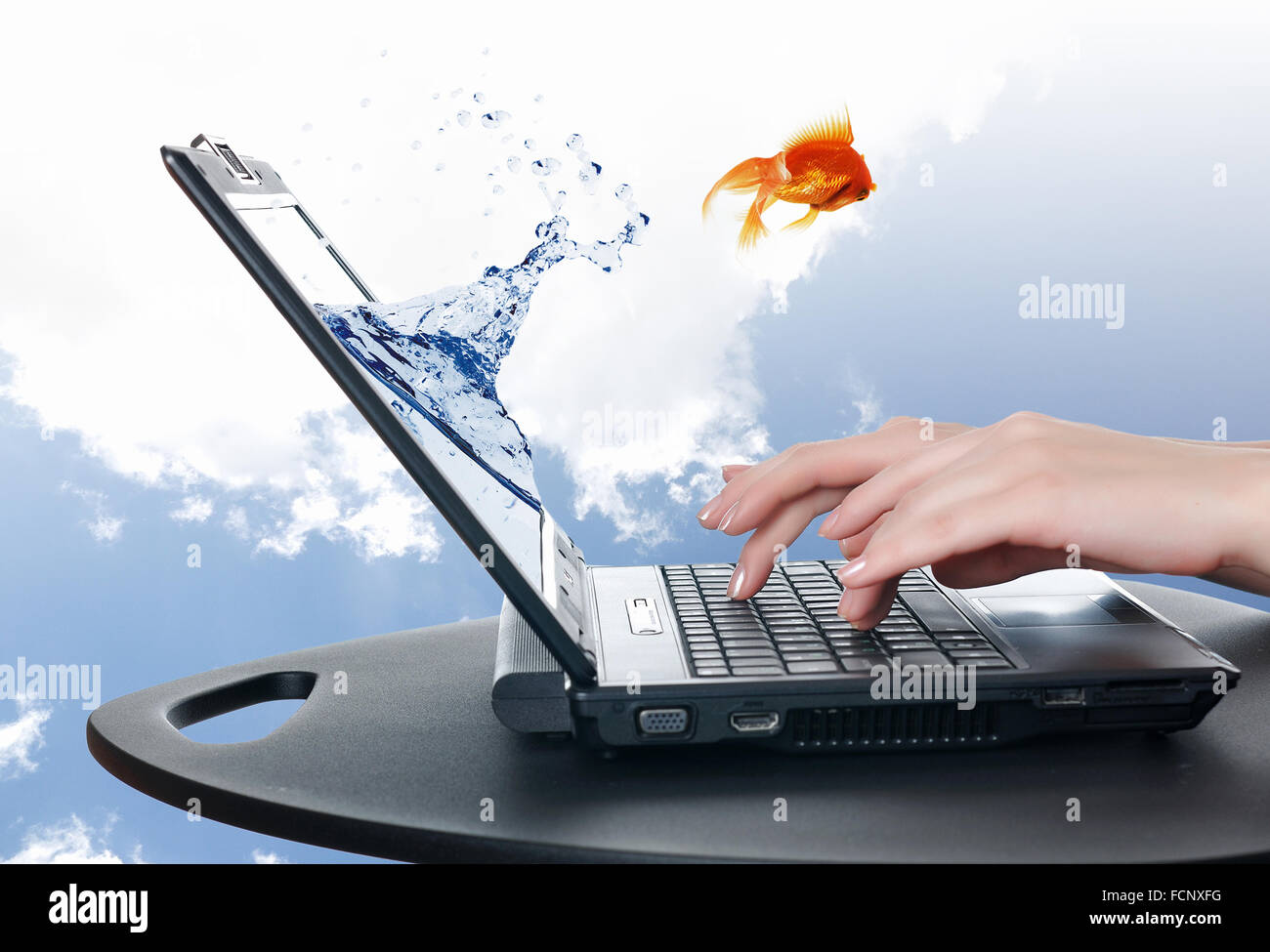 picture of gold fish and laptop computer Stock Photo - Alamy