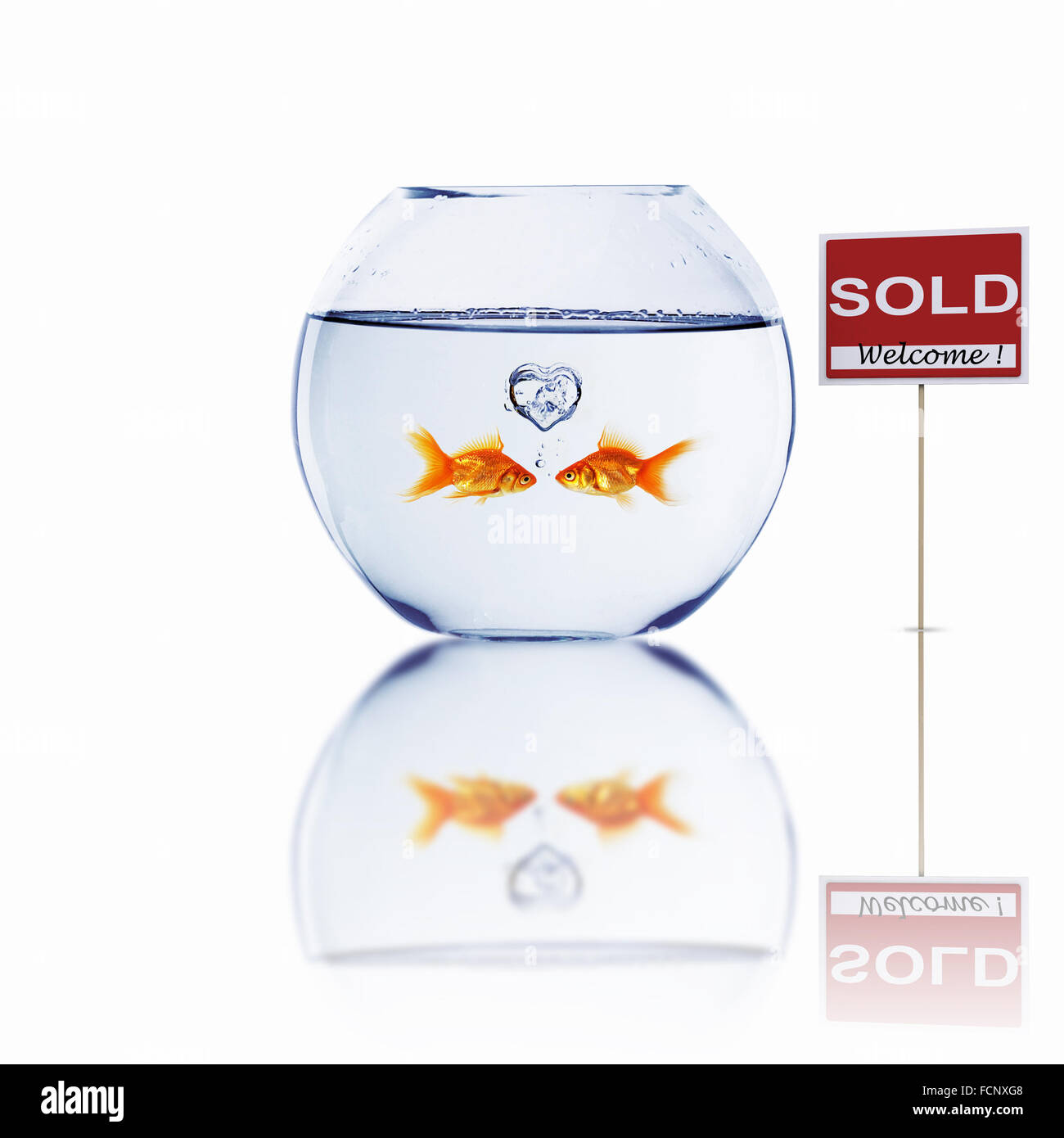 Fish for sale sign Cut Out Stock Images & Pictures - Alamy