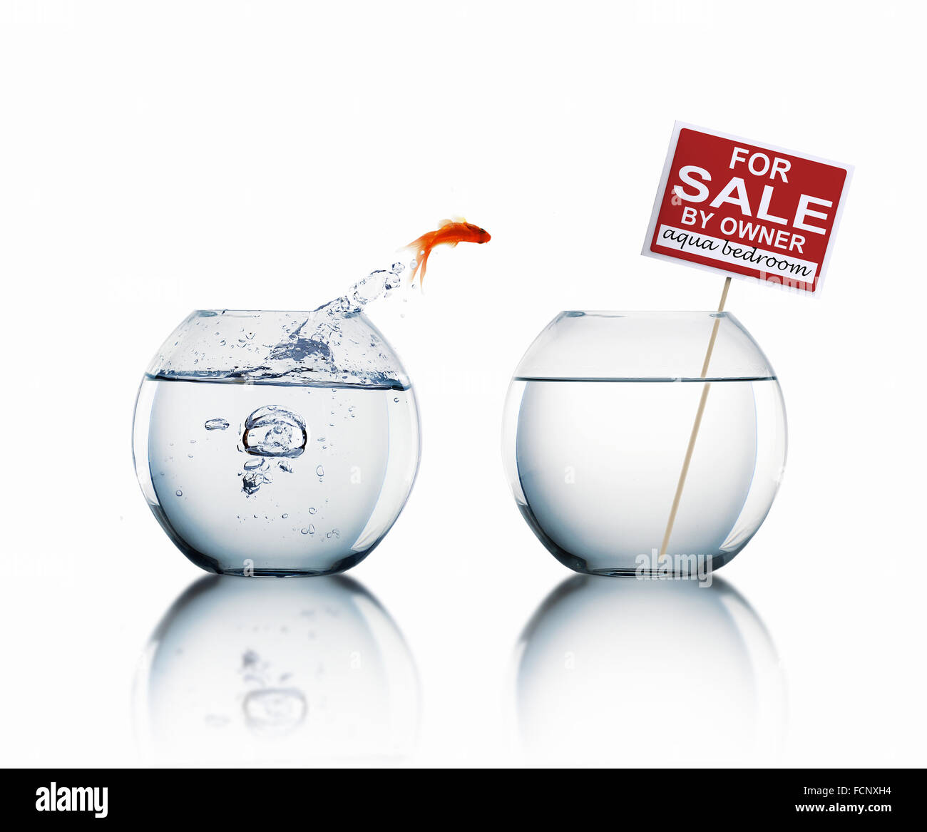 Gold fish in a fishbowl with sign of sale hi-res stock photography and ...