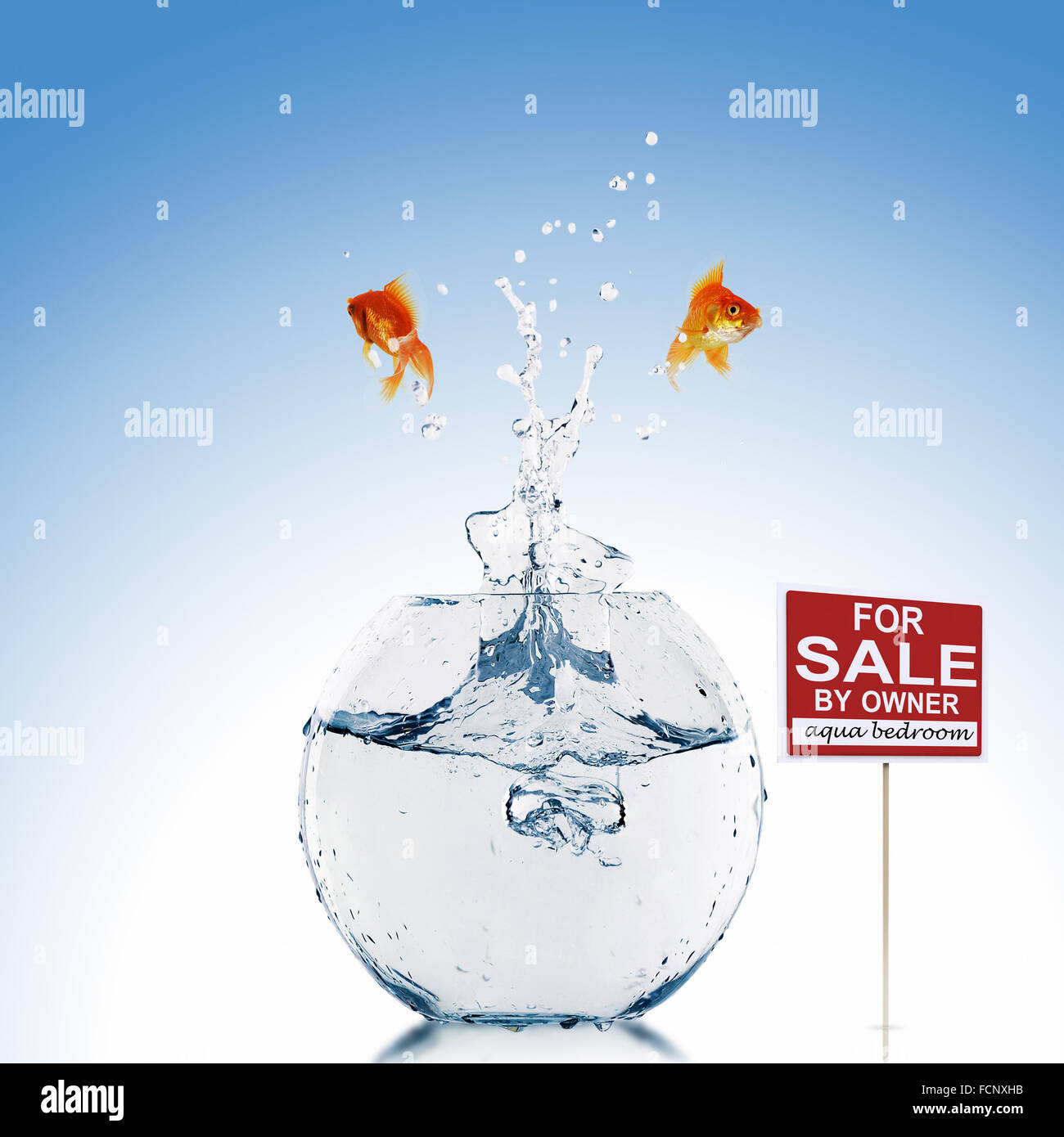 gold fish in a fishbowl with sign of sale Stock Photo - Alamy