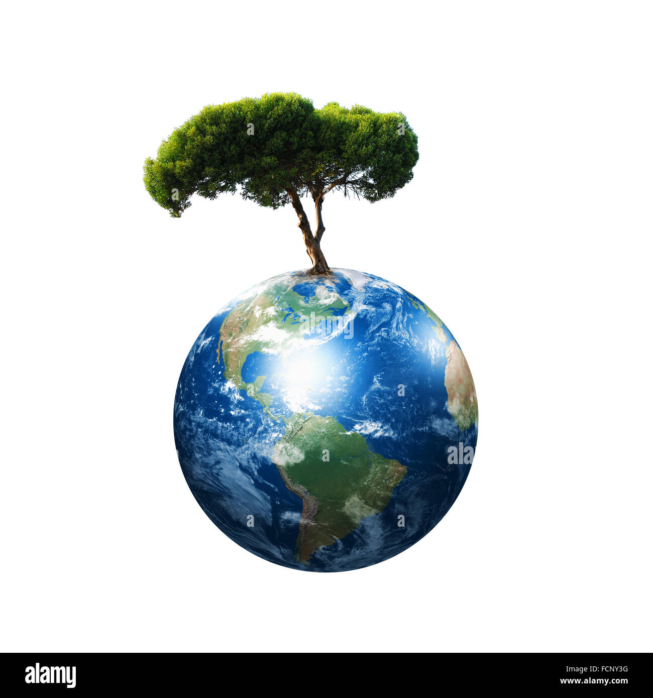 Our planet earth tree symbol hi-res stock photography and images - Alamy