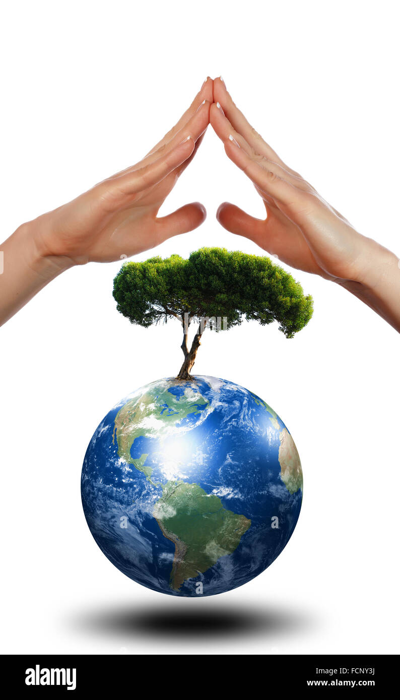 Hands, our planet Earth and the tree - a symbol of environmental ...