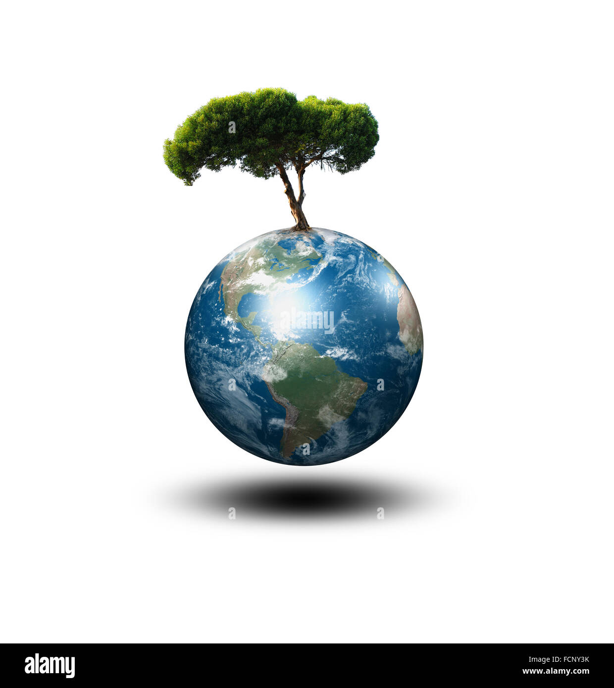 our planet Earth and the tree - a symbol of environmental protection ...