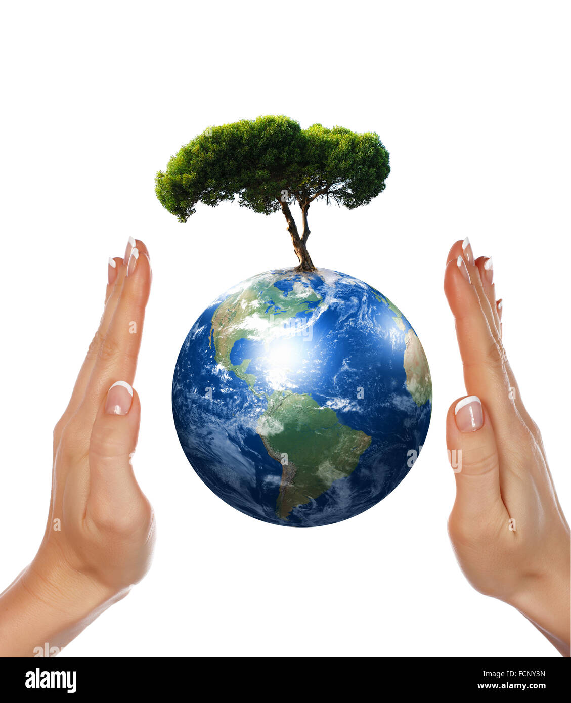 Hands, our planet Earth and the tree - a symbol of environmental ...