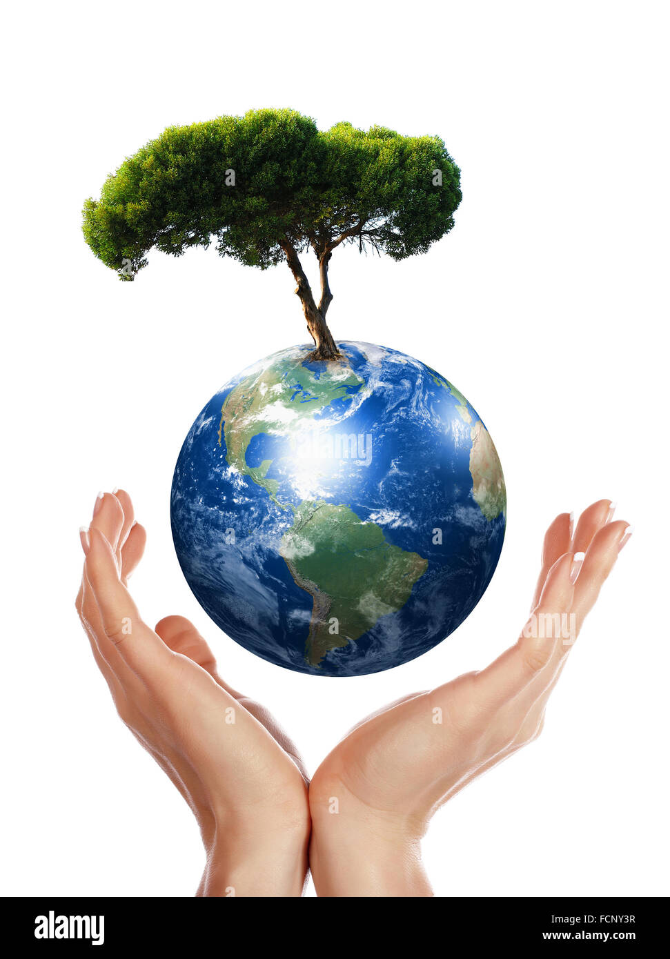 Hands, our planet Earth and the tree - a symbol of environmental ...