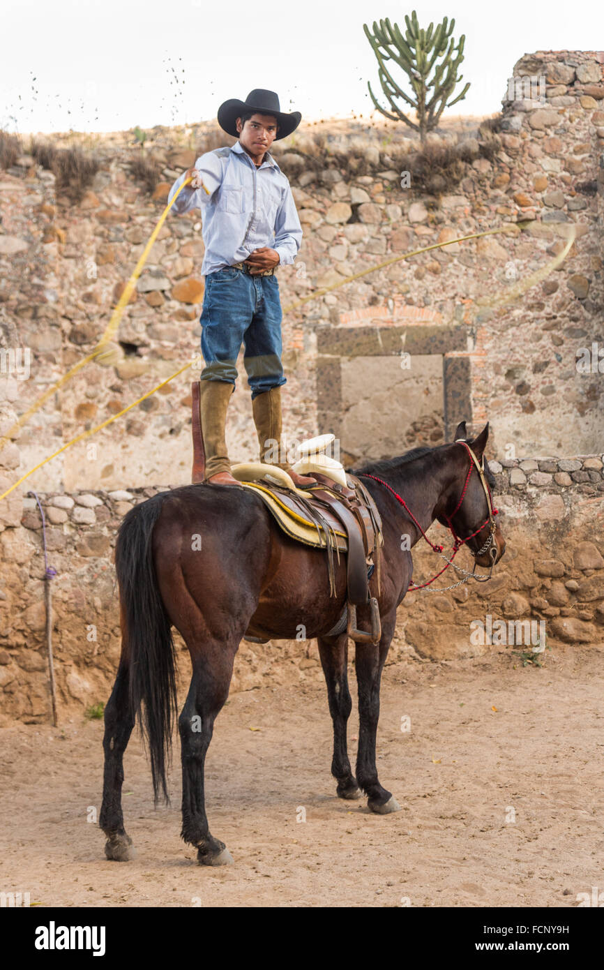 Roping lasso rope lariat riata reata horseback standing equestrian ...