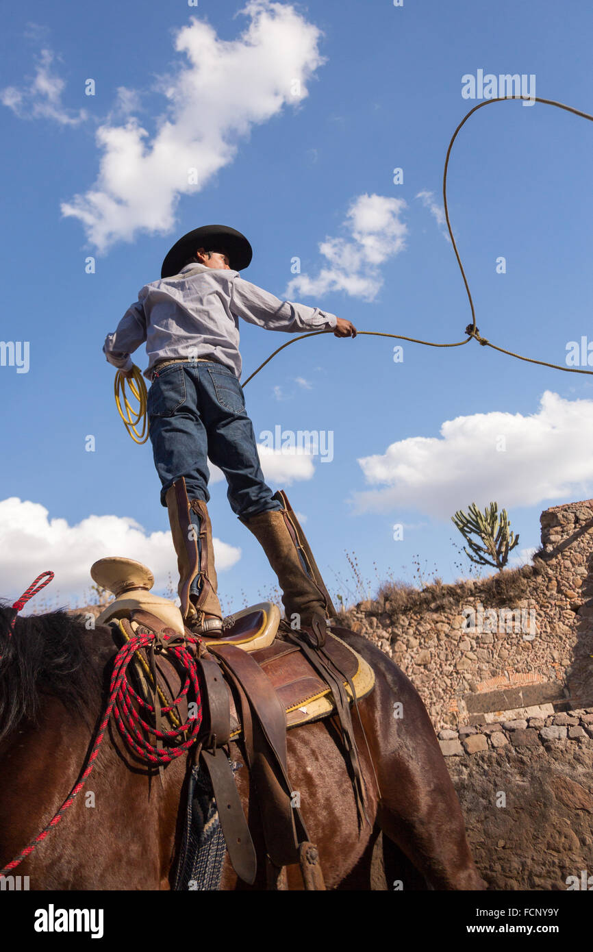 Roping lasso rope lariat riata reata horseback standing equestrian ...