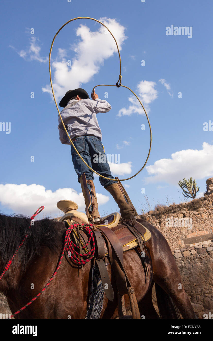 Roping lasso rope lariat riata reata horseback standing equestrian ...