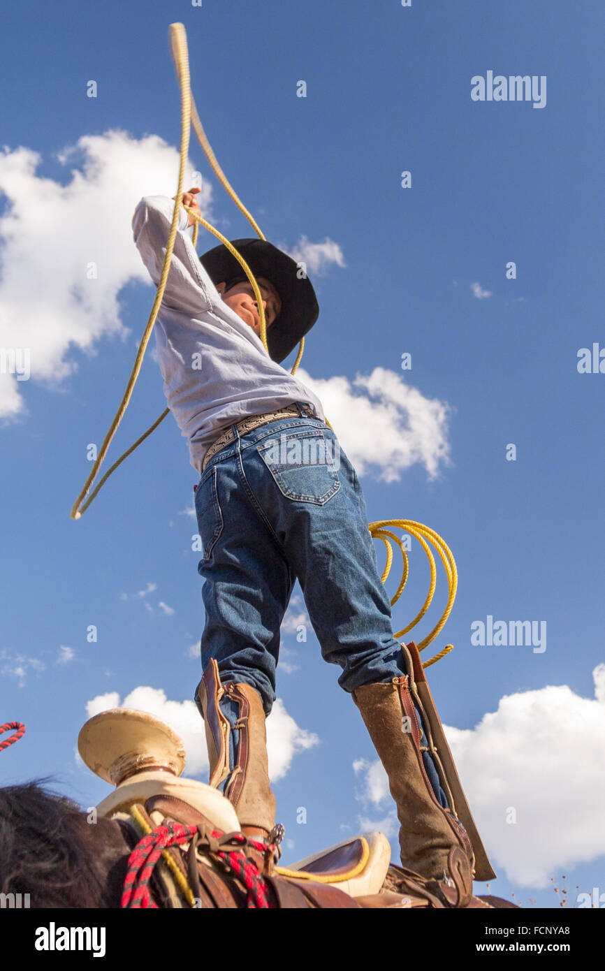 A Mexican charro or cowboy practices roping skills on his horse before ...